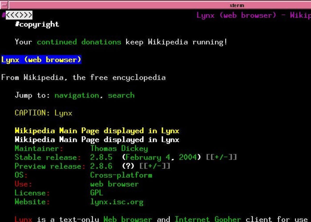 Conoce los navegadores web para terminales Linux