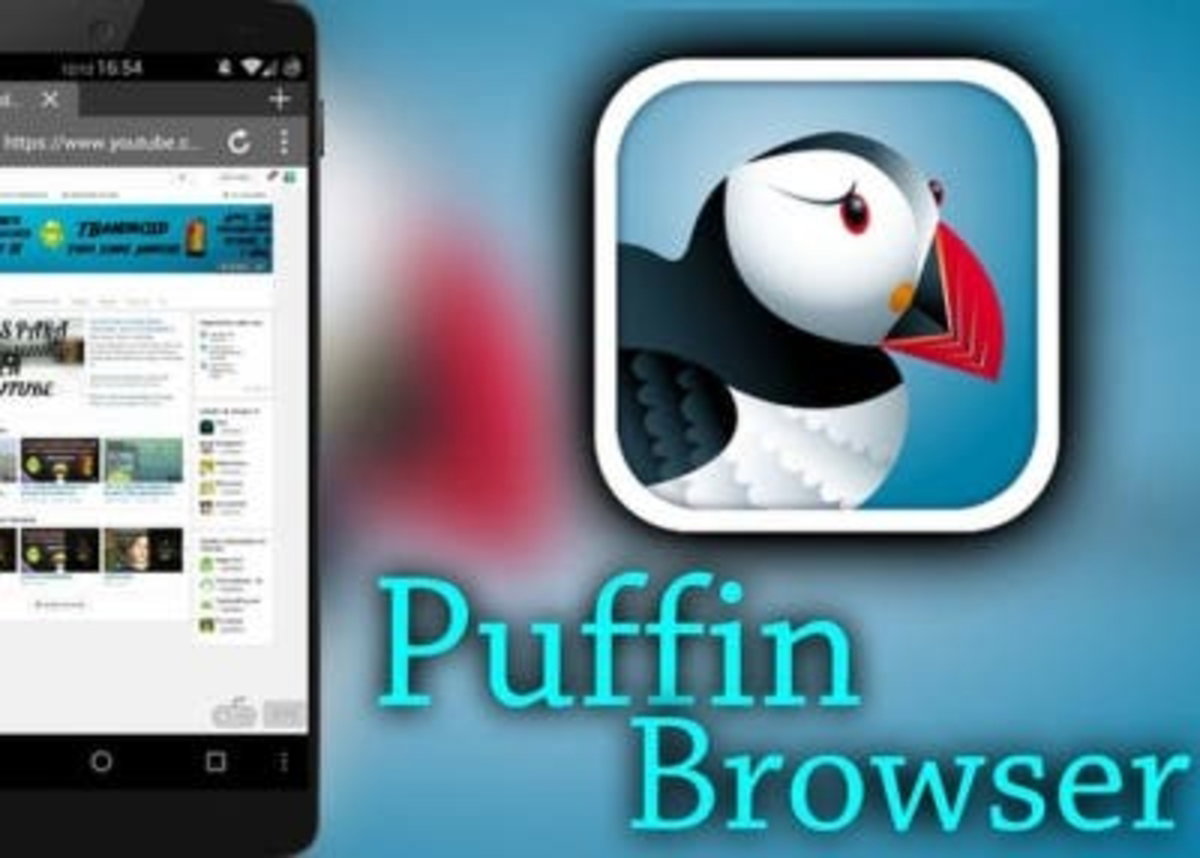 Visualiza todo el contenido en Flash desde tu terminal con Puffin Web ...