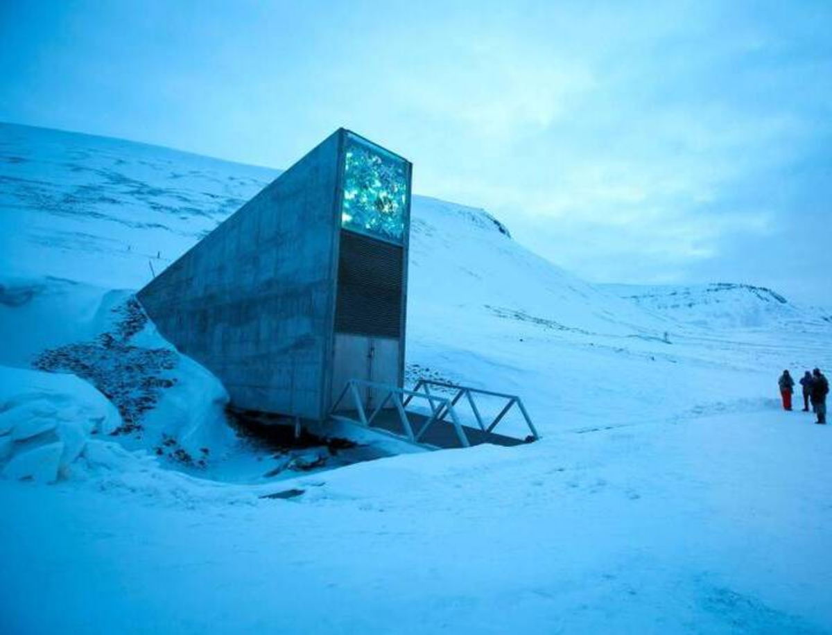 Arctic World Archive, así guarda la información digital