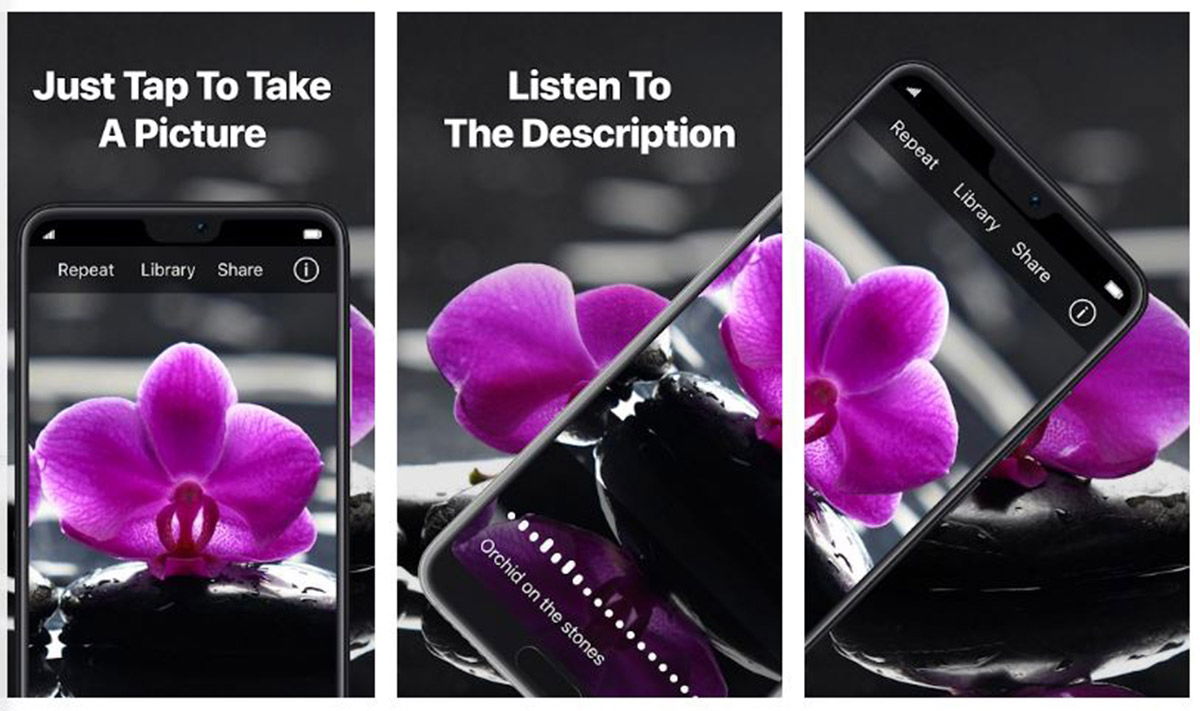 Las mejores apps para identificar cualquier cosa con la cámara de tu ...