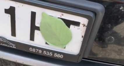 They warn of a leaf-shaped magnet that is placed on top of the license ...