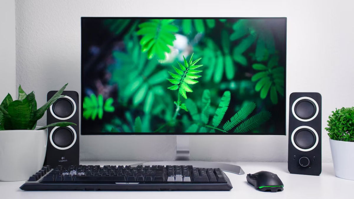 Qué mirar al comprar un monitor: cosas a tener en cuenta