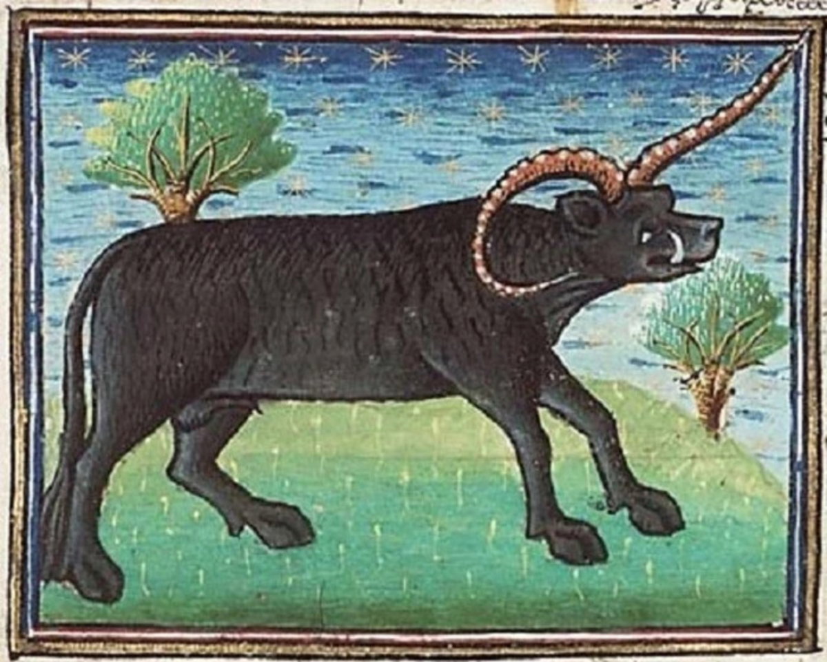 6 animales mitológicos y sus orígenes en especies reales