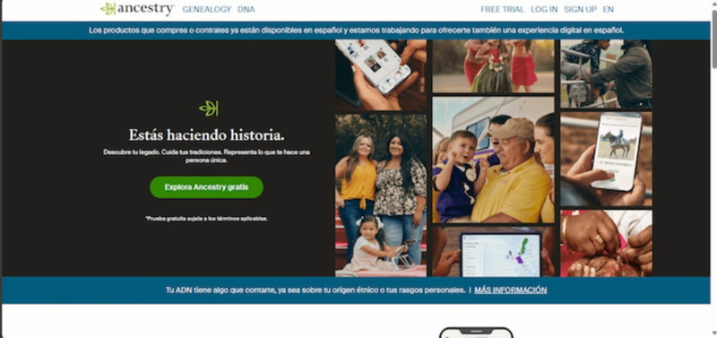 Las mejores 7 webs para crear un árbol genealógico online