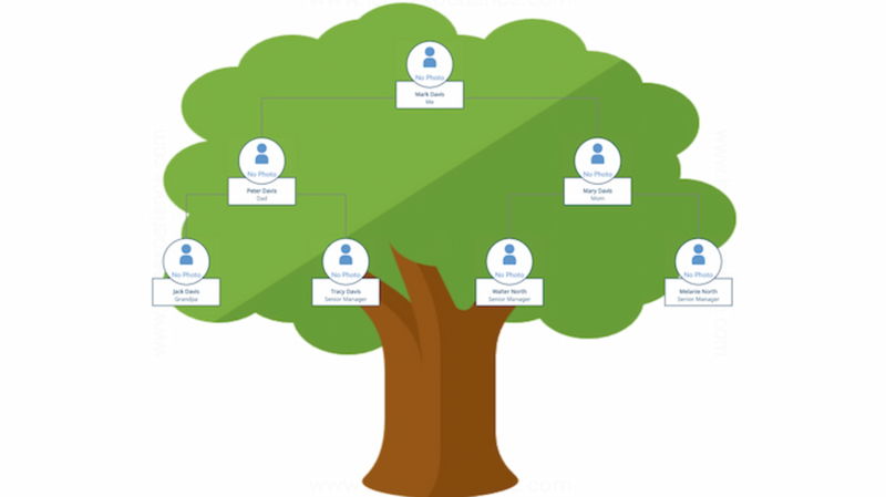 Las Mejores 7 Webs Para Crear Un árbol Genealógico Online