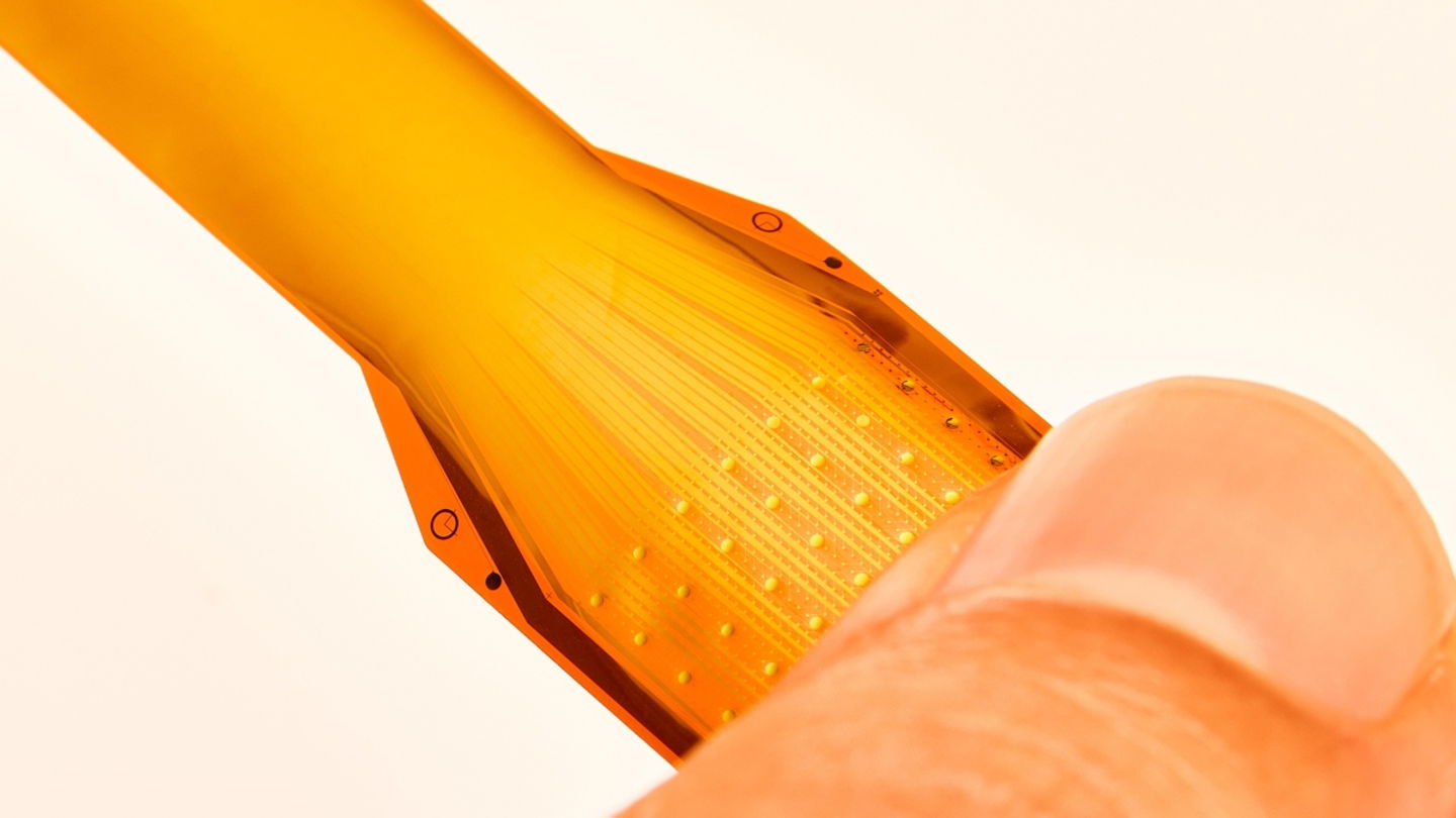 Una empresa rival de Neuralink parece haber creado un chip mejor que el ...