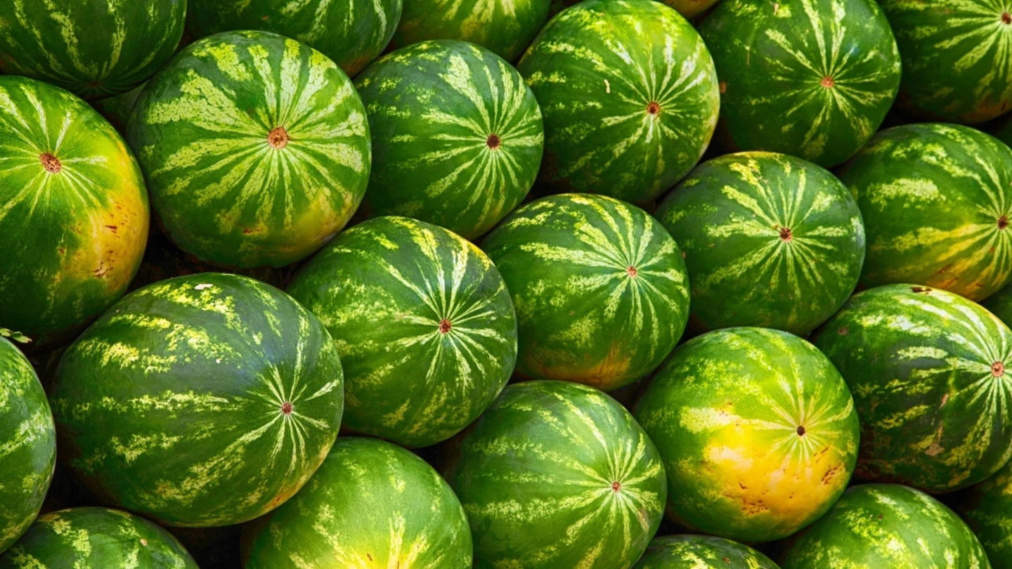 La mejor fruta para refrescarse según la ciencia: contiene un 91% de ...