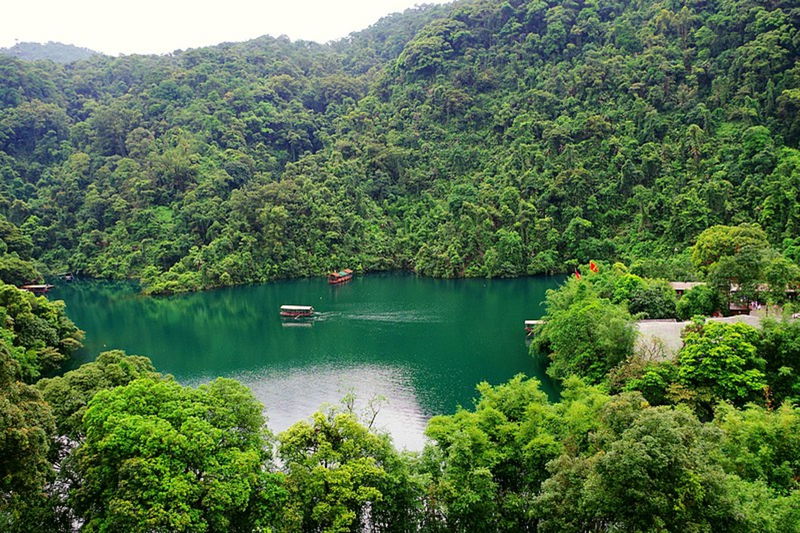 Así era y así se extinguió el Gigantopithecus, el simio más grande de ...