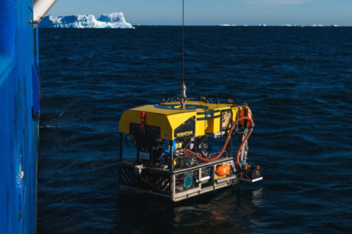 Investigadores del Instituto Oceanográfico Schmidt parecen haber ...